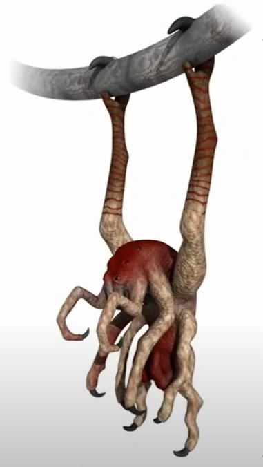 Tanybrachidae | Alien Biospheres - Biblaridion Wiki | Fandom