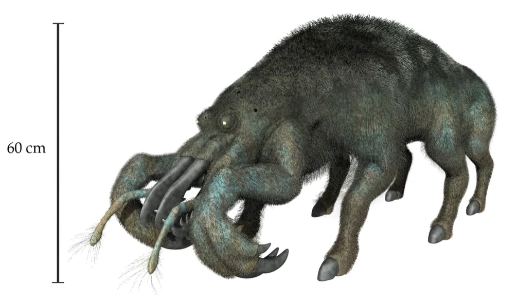 Hadronychidae | Alien Biospheres - Biblaridion Wiki | Fandom