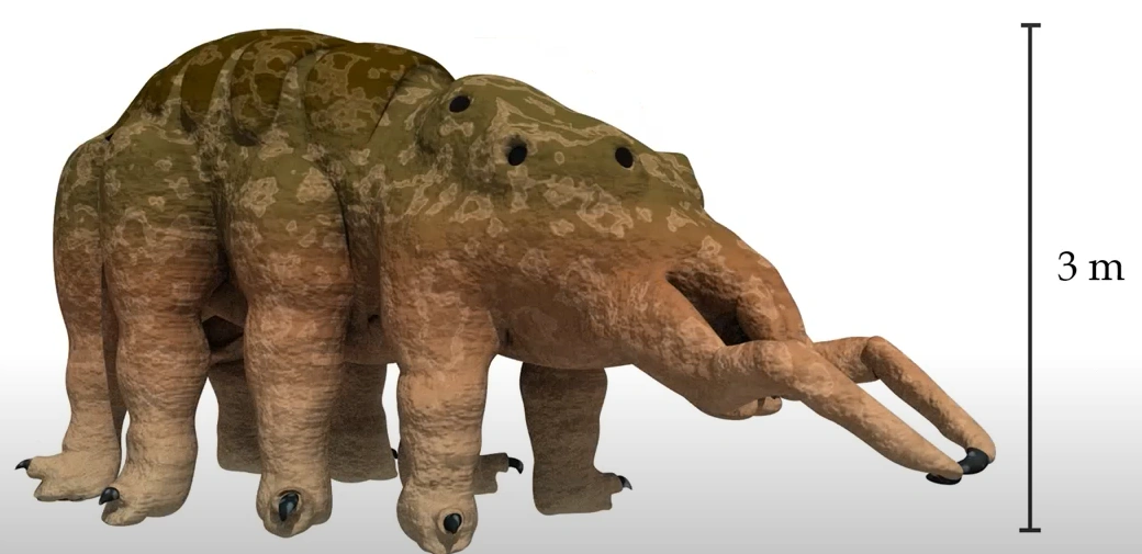 Baropoda | Alien Biospheres - Biblaridion Wiki | Fandom