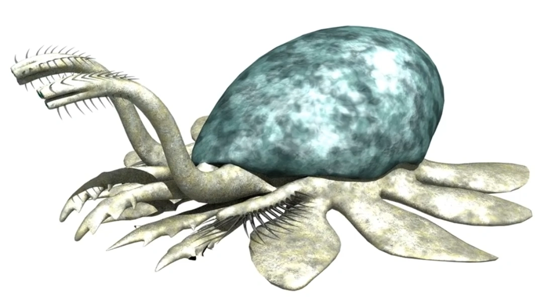 Myzostoma | Alien Biospheres - Biblaridion Wiki | Fandom