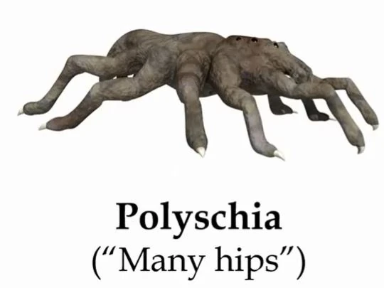 Polyschia | Alien Biospheres - Biblaridion Wiki | Fandom