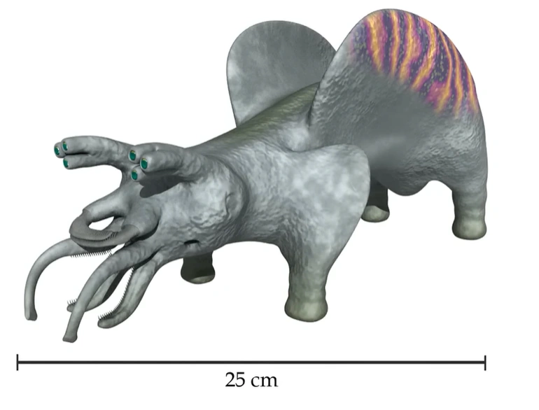 Pterolophidae | Alien Biospheres - Biblaridion Wiki | Fandom