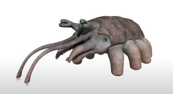 Notoformes | Alien Biospheres - Biblaridion Wiki | Fandom