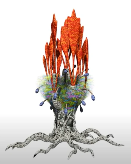 Zygophyta | Alien Biospheres - Biblaridion Wiki | Fandom