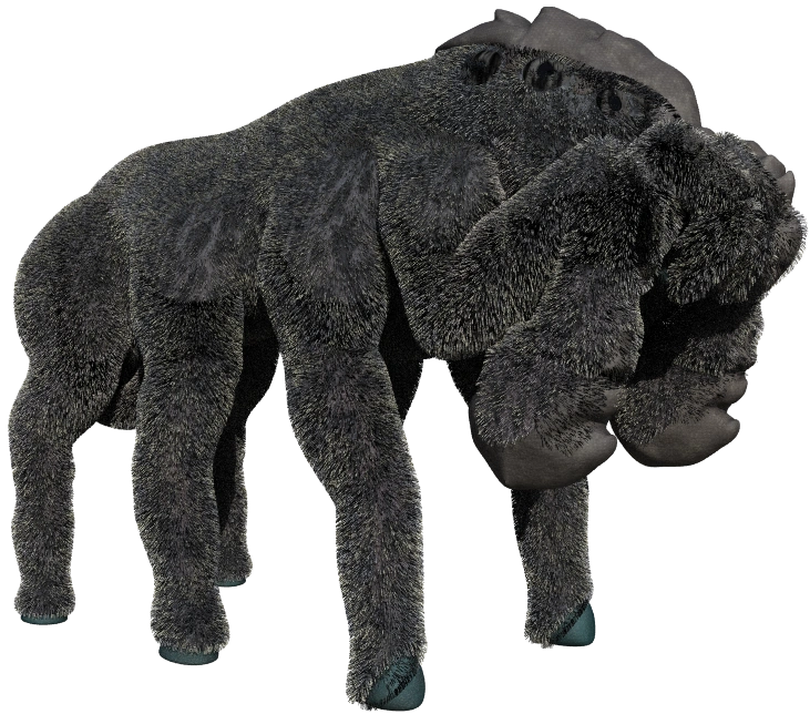 Ceratobrachidae | Alien Biospheres - Biblaridion Wiki | Fandom