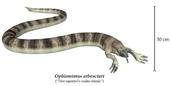 Apodomorpha | Alien Biospheres - Biblaridion Wiki | Fandom