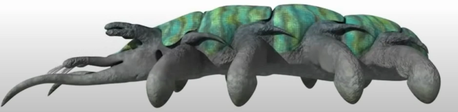 Nothocanthidae | Alien Biospheres - Biblaridion Wiki | Fandom