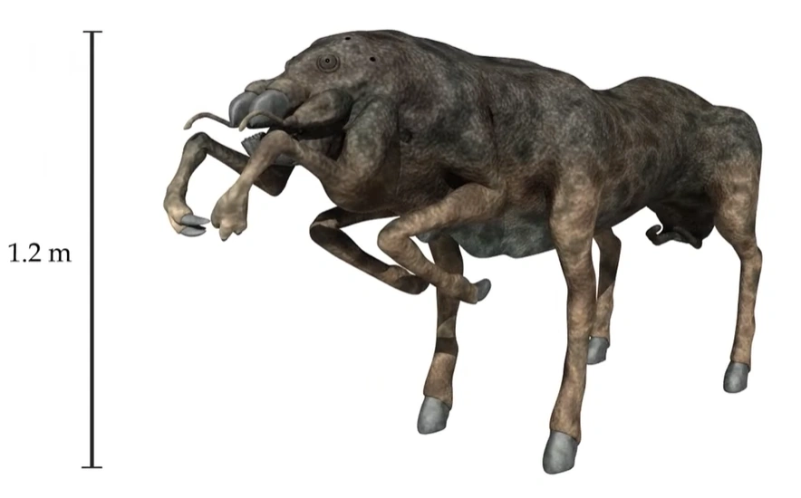 Oligopoda | Alien Biospheres - Biblaridion Wiki | Fandom