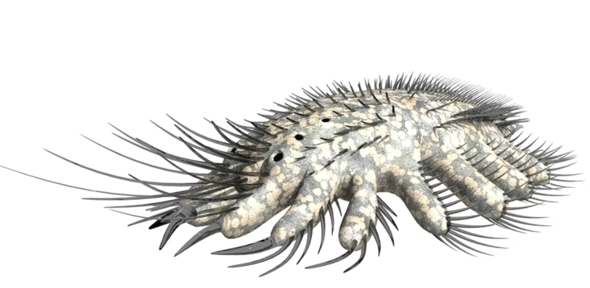 Prionorostrum aegisari | Alien Biospheres - Biblaridion Wiki | Fandom