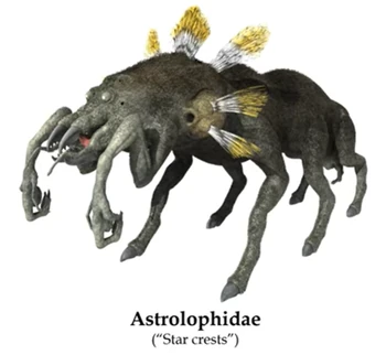 Astrolophidae | Alien Biospheres - Biblaridion Wiki | Fandom