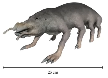 Coryphodontia | Alien Biospheres - Biblaridion Wiki | Fandom