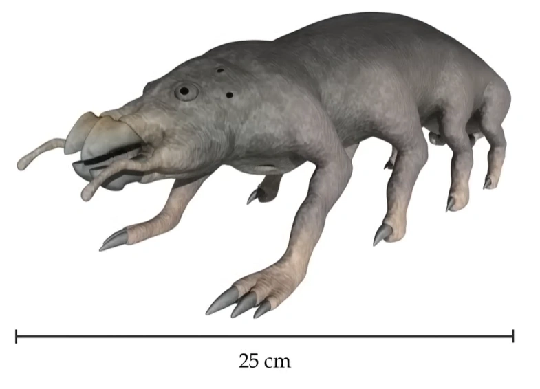 Coryphodontia | Alien Biospheres - Biblaridion Wiki | Fandom