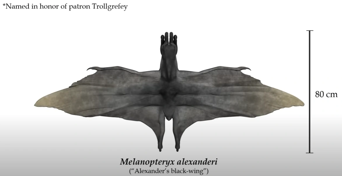 Theroptera | Alien Biospheres - Biblaridion Wiki | Fandom