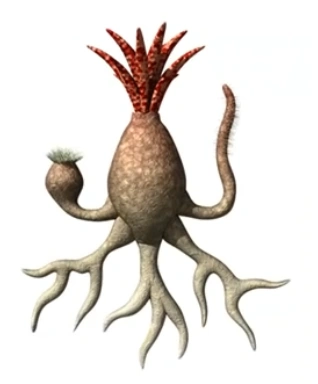 Tylophyta | Alien Biospheres - Biblaridion Wiki | Fandom