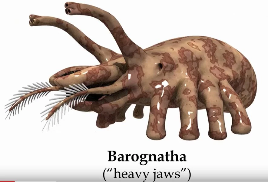 Barognatha | Alien Biospheres - Biblaridion Wiki | Fandom