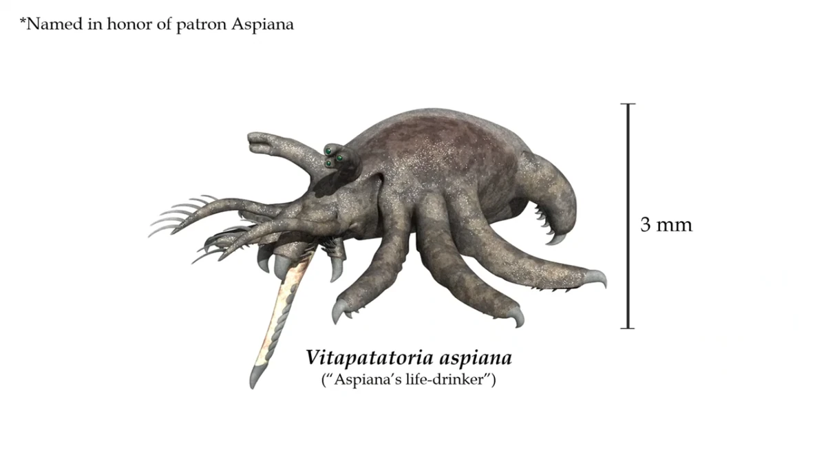 Myzognatha | Alien Biospheres - Biblaridion Wiki | Fandom