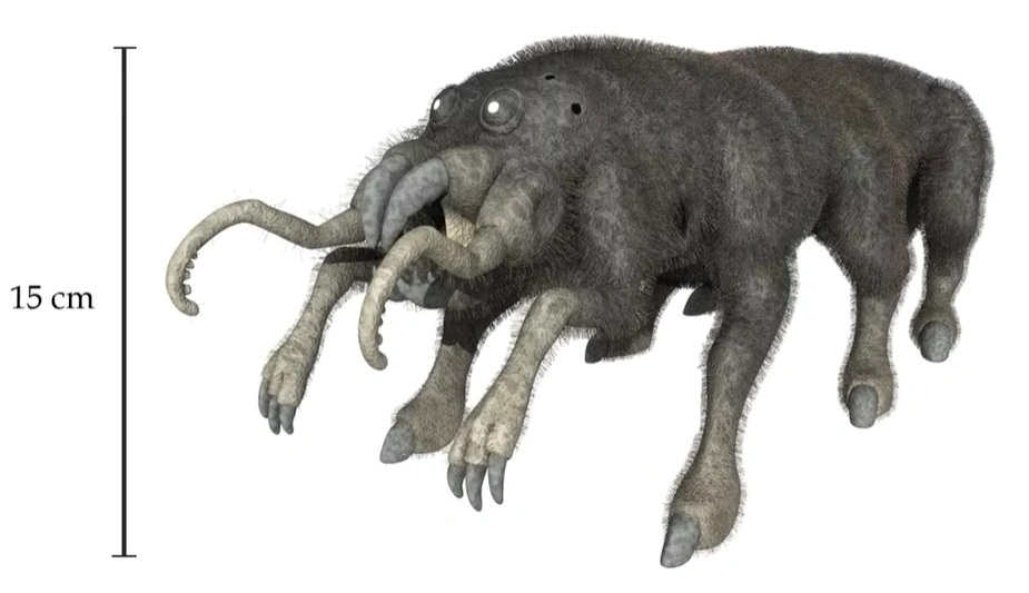 Distropheognatha | Alien Biospheres - Biblaridion Wiki | Fandom