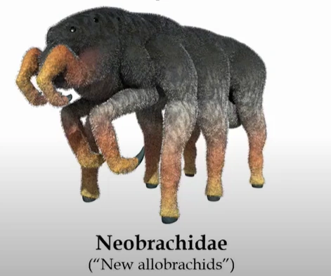 Neobrachidae | Alien Biospheres - Biblaridion Wiki | Fandom