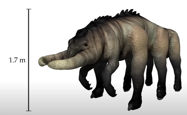 Prionodontia | Alien Biospheres - Biblaridion Wiki | Fandom