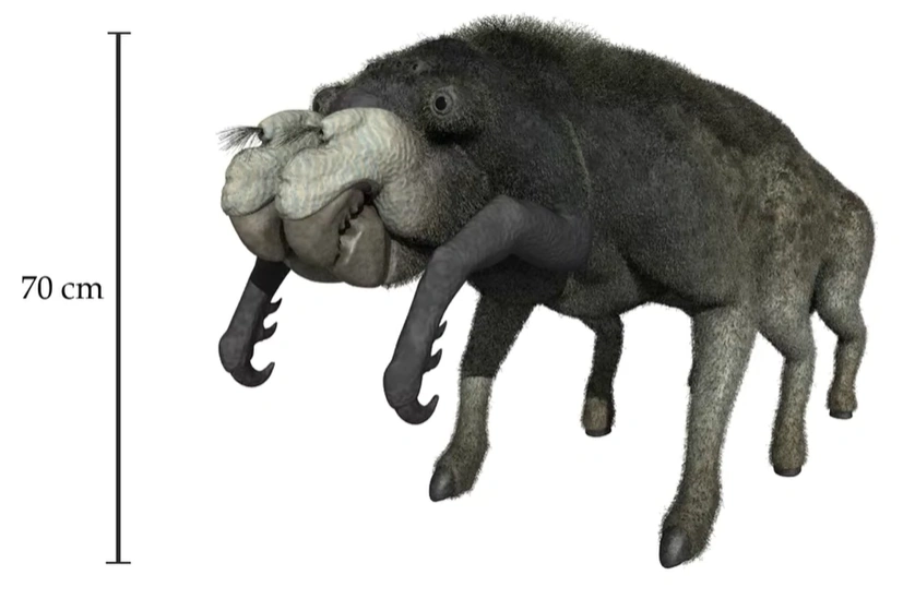 Kophodontidae | Alien Biospheres - Biblaridion Wiki | Fandom