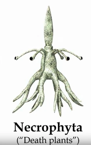 Necrophyta | Alien Biospheres - Biblaridion Wiki | Fandom
