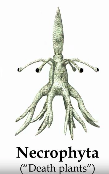 Necrophyta | Alien Biospheres - Biblaridion Wiki | Fandom