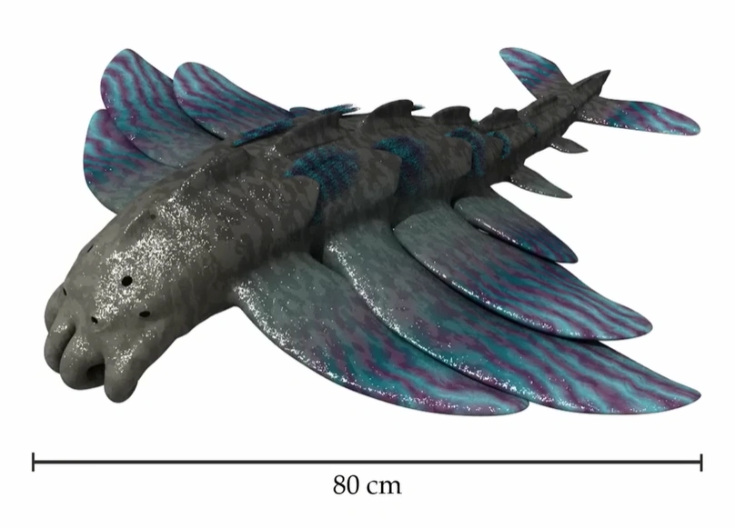 Synopteridae | Alien Biospheres - Biblaridion Wiki | Fandom