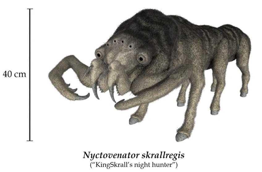 Peloropsidae | Alien Biospheres - Biblaridion Wiki | Fandom