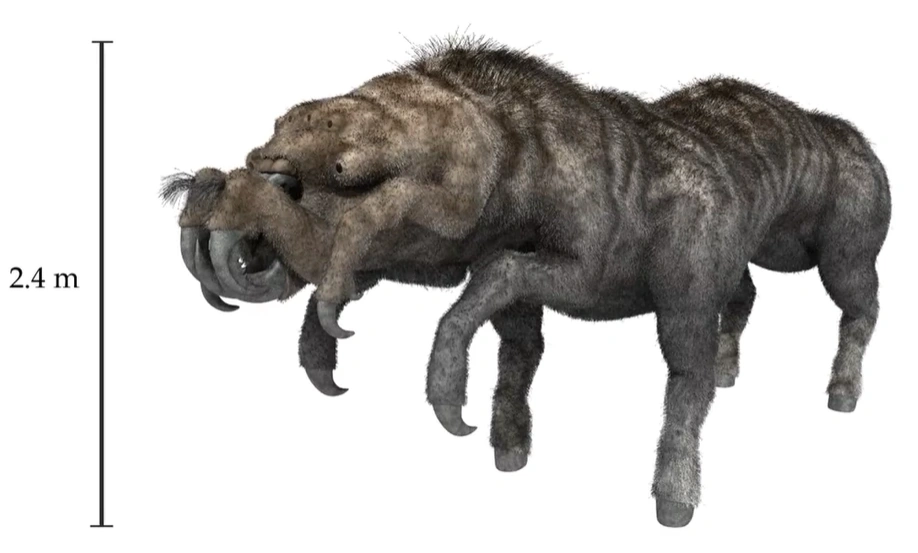 Xyrodontia | Alien Biospheres - Biblaridion Wiki | Fandom