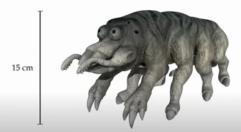 Euacrocheiridae | Alien Biospheres - Biblaridion Wiki | Fandom