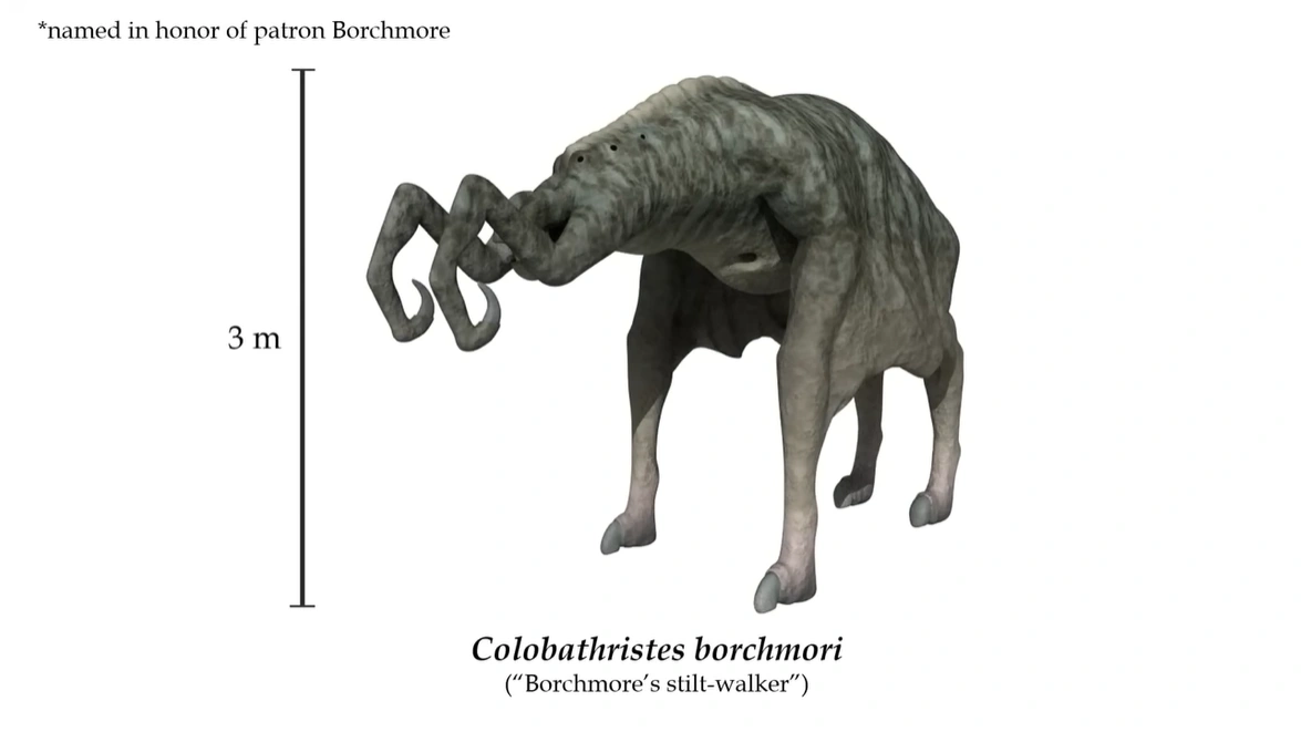 Colobathristes borchmori | Alien Biospheres - Biblaridion Wiki | Fandom