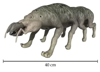 Cryptonychidae | Alien Biospheres - Biblaridion Wiki | Fandom