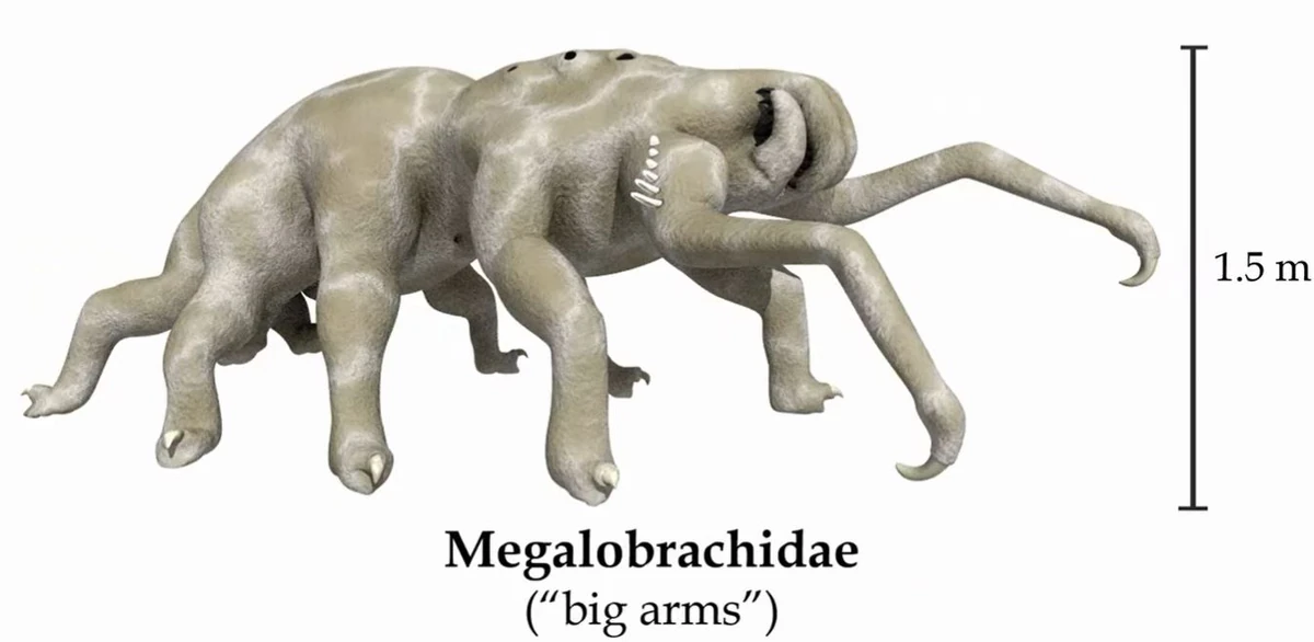 Megalobrachidae | Alien Biospheres - Biblaridion Wiki | Fandom