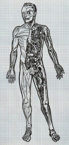 Sintético | Wiki Alien Isolation | Fandom