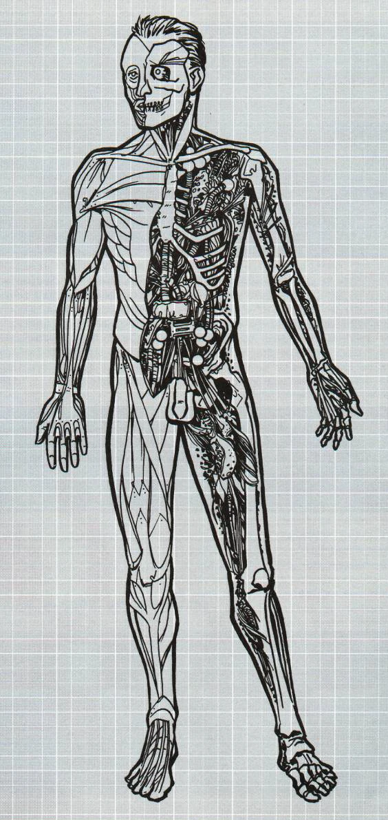 Sintético | Wiki Alien Isolation | Fandom