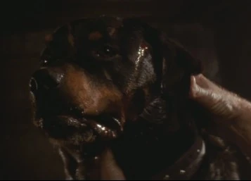 Spike | Wiki Alien Isolation | Fandom