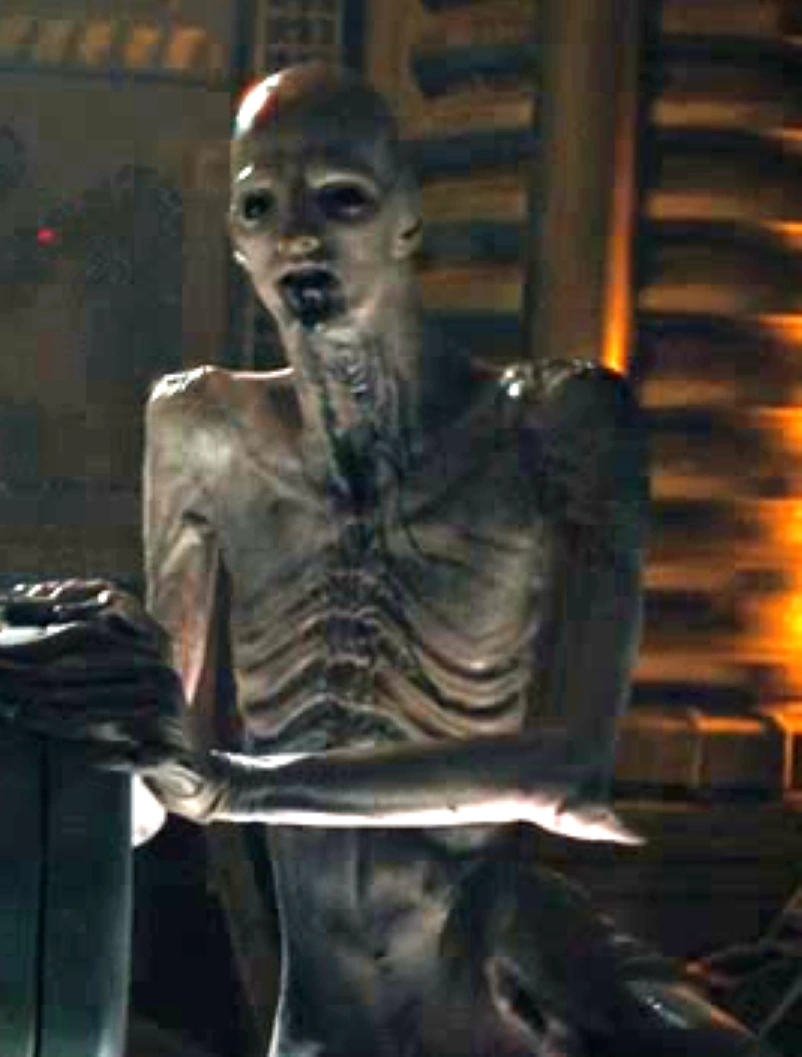 Offspring | Xenopedia | Fandom