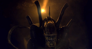 Ksenomorf | Xenopedia | Fandom