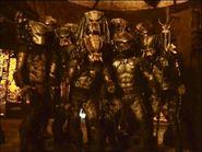 Yautja | Xenopedia | Fandom