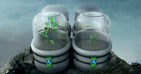 Bio-replicator pod | Alien Anthology Wiki | Fandom