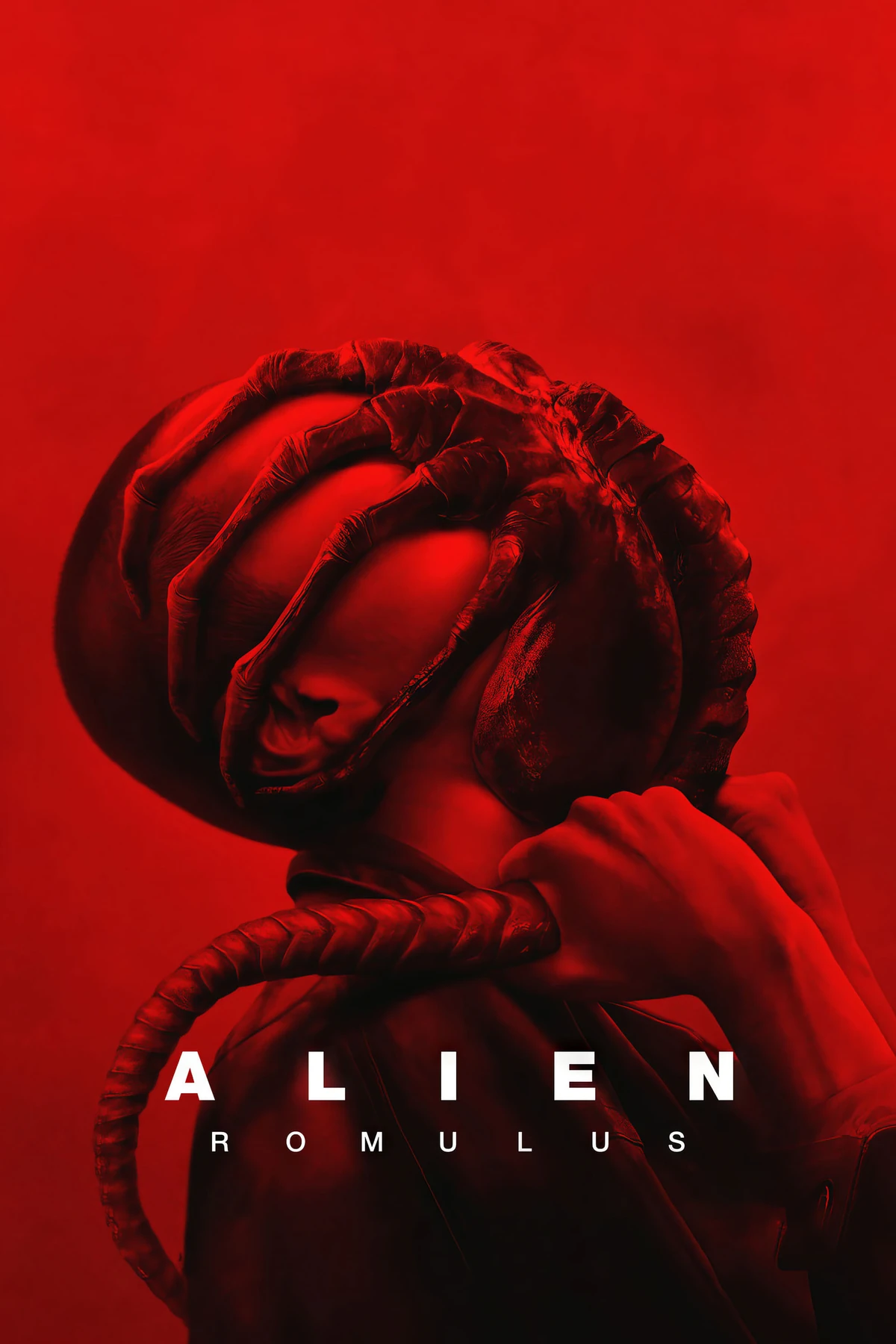 Alien: Romulus | Alien Anthology Wiki | Fandom
