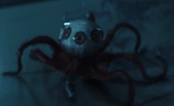Trypanohyncha Ocellus | Alien Anthology Wiki | Fandom
