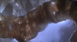 Queen | Alien Anthology Wiki | Fandom