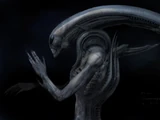 Category:Xenomorphs | Alien Anthology Wiki | Fandom