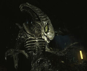 Boiler | Alien Anthology Wiki | Fandom