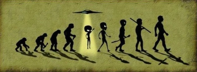 Evolution | Life, the Universe and Everything Wiki | Fandom