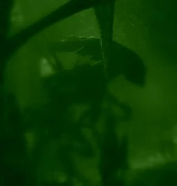 Aquamorph | Alien Fanon Wiki | Fandom
