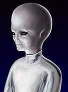 Gray | Alien Wiki | Fandom