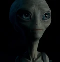 Paul | Alien Wiki | Fandom