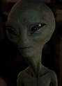 Paul | Alien Wiki | Fandom